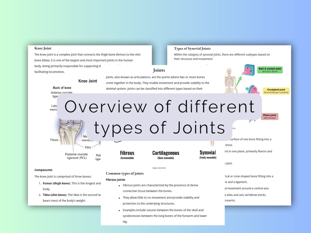 Overview of Types of Joints | Skeletal | Medical Student Gift | Cram ...