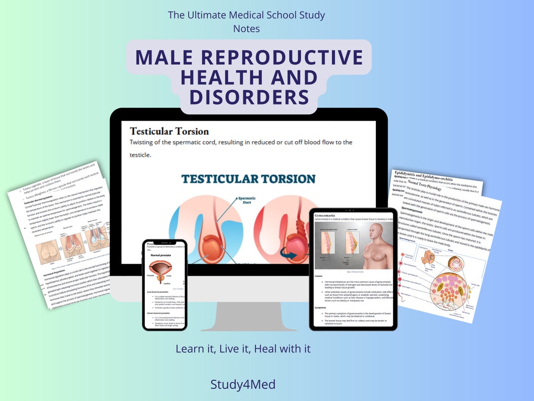 Male Reproductive Health and Disorders - Etsy