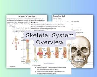 Musculoskeletal System Medical School Study Notes | Orthopedics ...