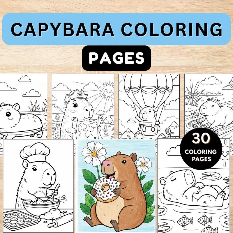 Capybara Printable Colouring - Etsy