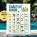 Camping Bingo Game: Printable Summer Activity for Kids (PDF Download ...