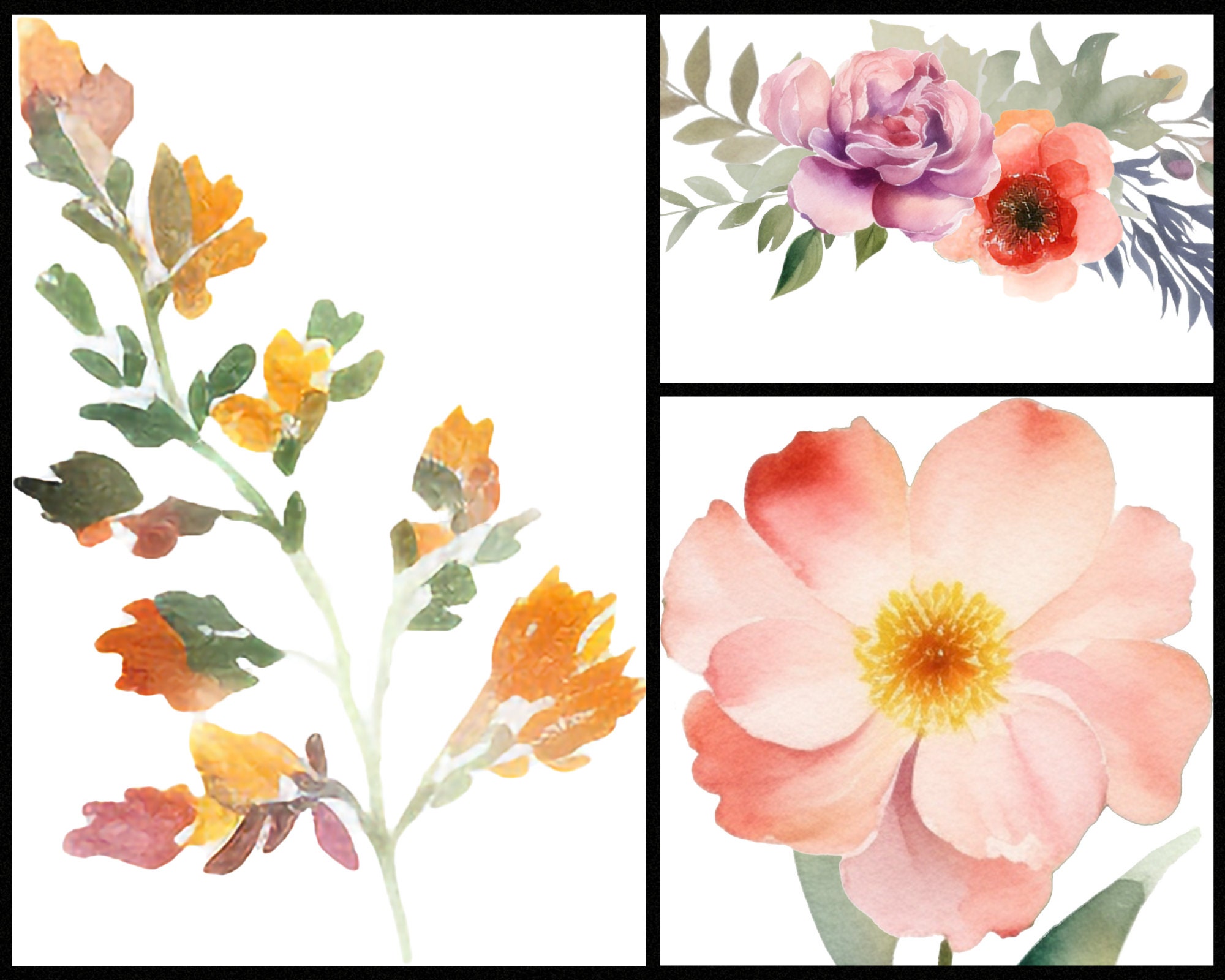 Summer Floral Clipart - Watercolor Summer Flowers - Floral Clipart ...