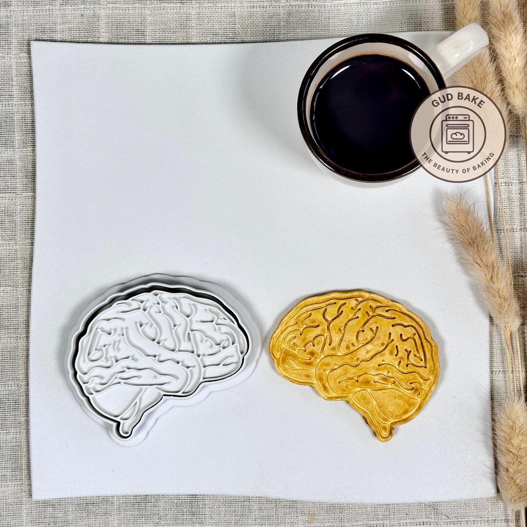 Human Brain Cookie Cutter | Nature Science Medical Theme | Baking Tool ...