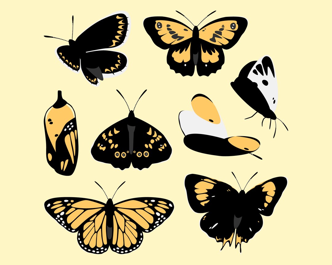 Butterfly Insects Flat Vector | Digital Download | Clipart | AI - EPS ...