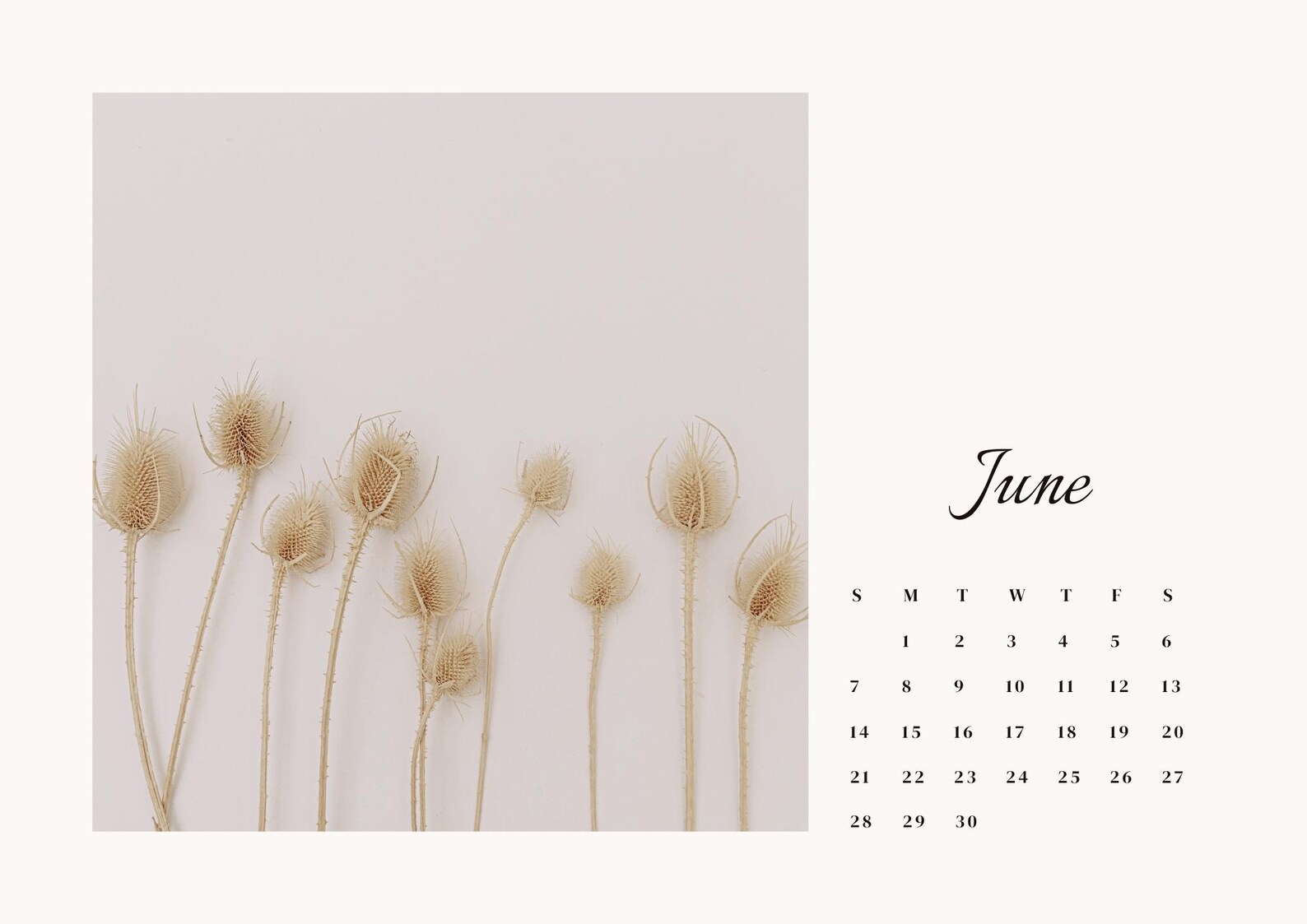 Minimal Beige Abstract 2026 Wall Calendar & Yearly Calendar | Aesthetic ...