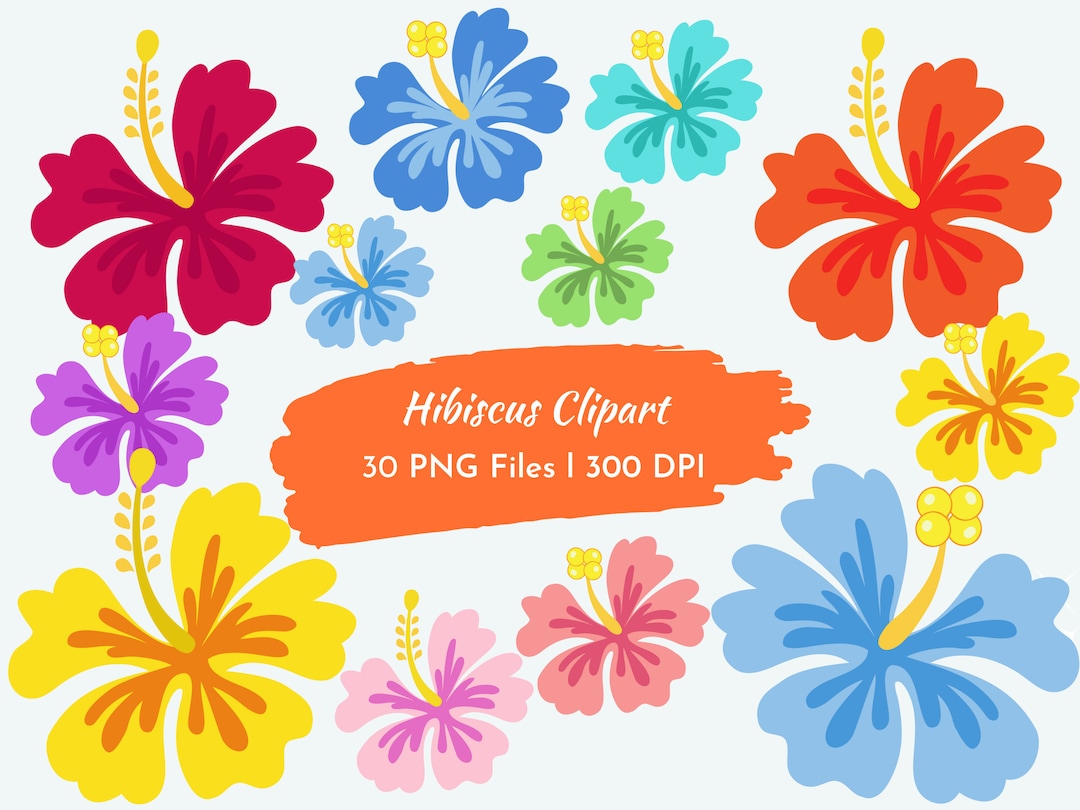 30 Hibiscus Bundle Clipart, Tropical Watercolour Flower, Floral Flower ...