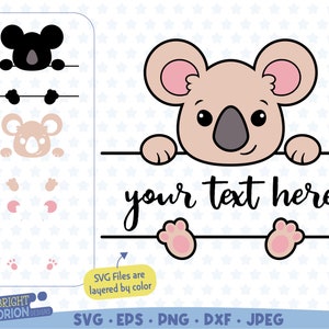 Cute Baby Koala Split Monogram Svg, Name Frame, Safari Animal Png ...