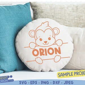 Cute Baby Monkey Split Monogram Svg, Name Frame, Safari Animal Png ...