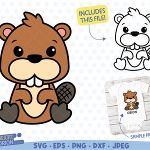 Cute Baby Beaver Svg Woodland Animal Svg Forest Animal Svg - Etsy