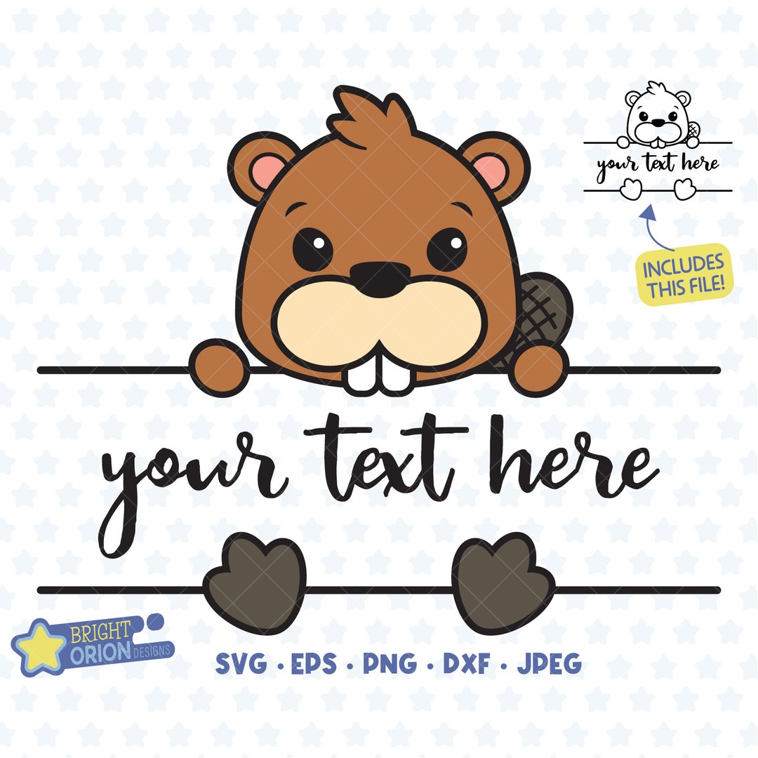 Cute Baby Beaver Split Monogram Svg Animal Kingdom Png - Etsy