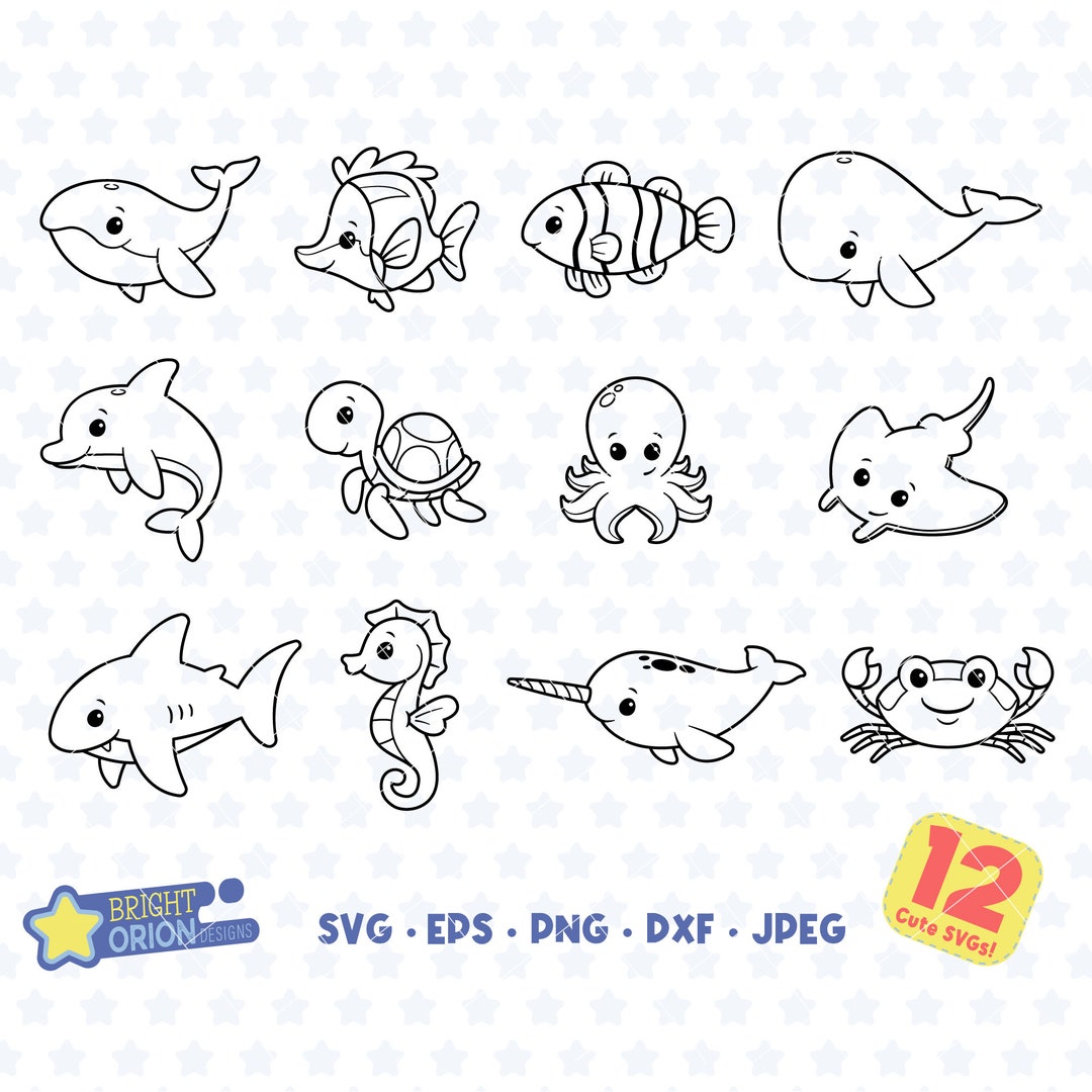 Sea Creatures Outline Svg Bundle, Ocean Animal Png, Whale, Fish ...