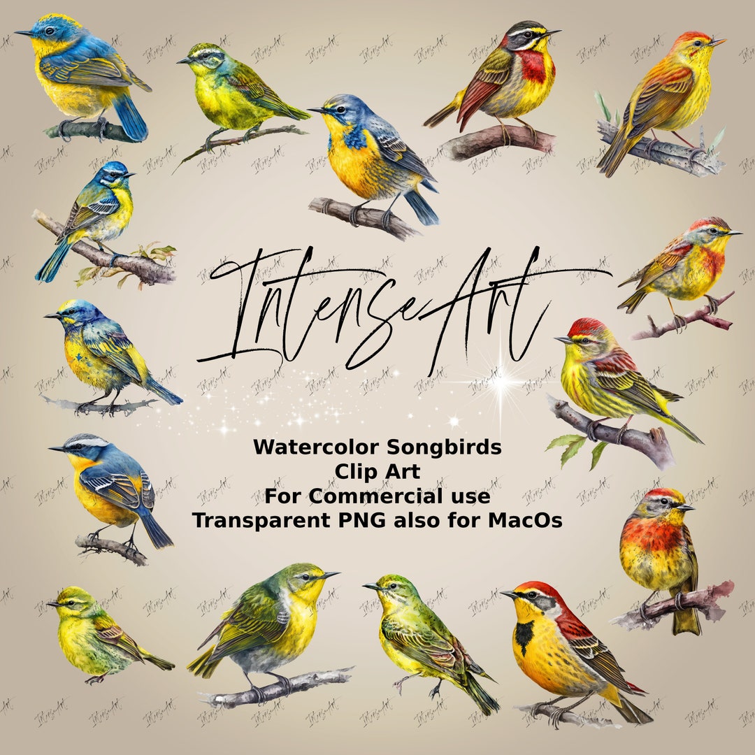 Watercolor Songbird, Clipart Songbird, Modern Songbird Clipart, Cute ...