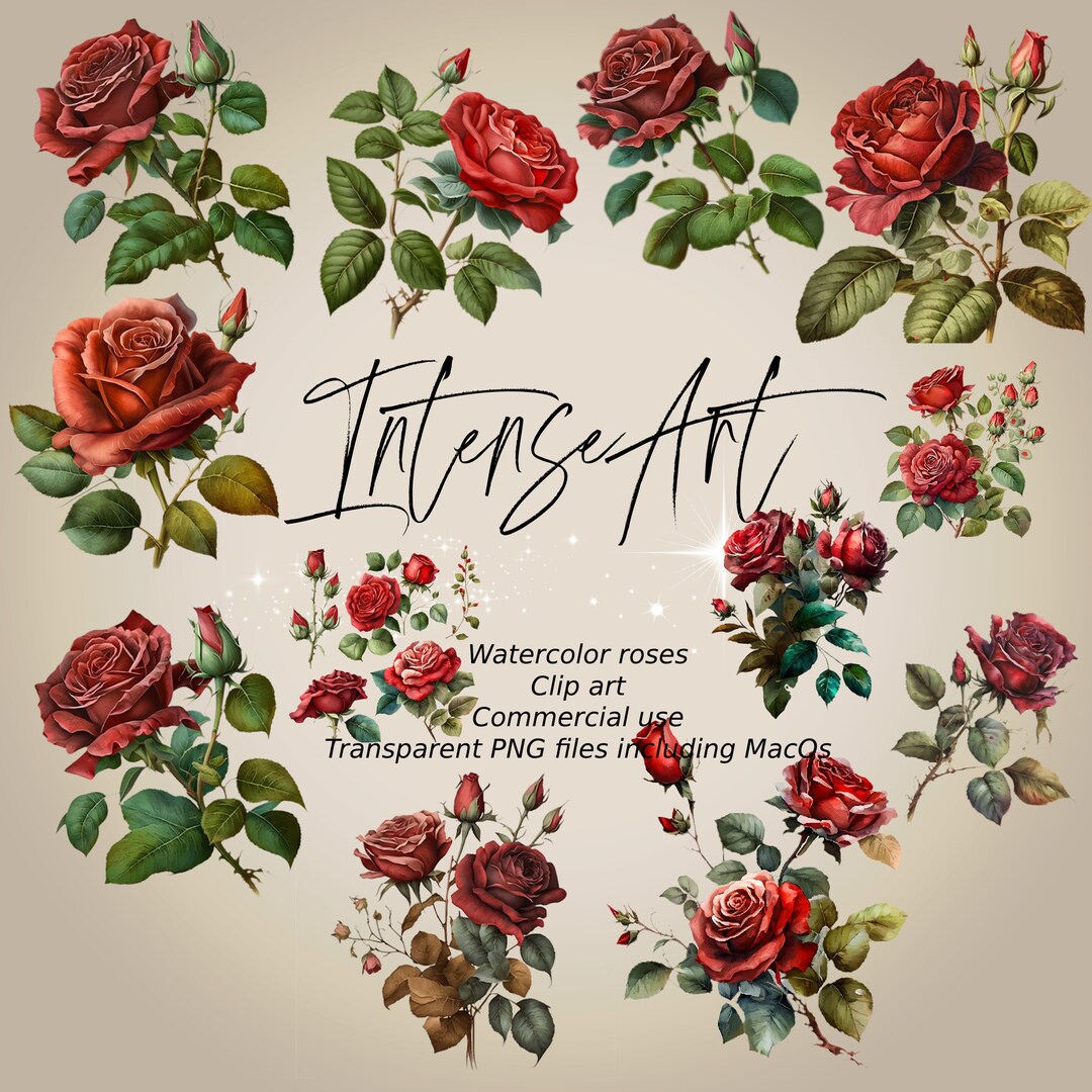 Watercolor Red Roses, Clipart Red Roses, Modern Roses Clipart, Roses ...