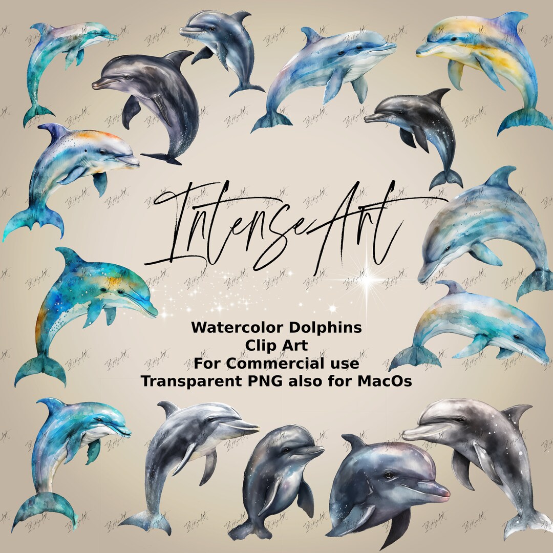 Watercolor Dolphin, Clipart Dolphin, Modern Dolphin Clipart, Cute ...