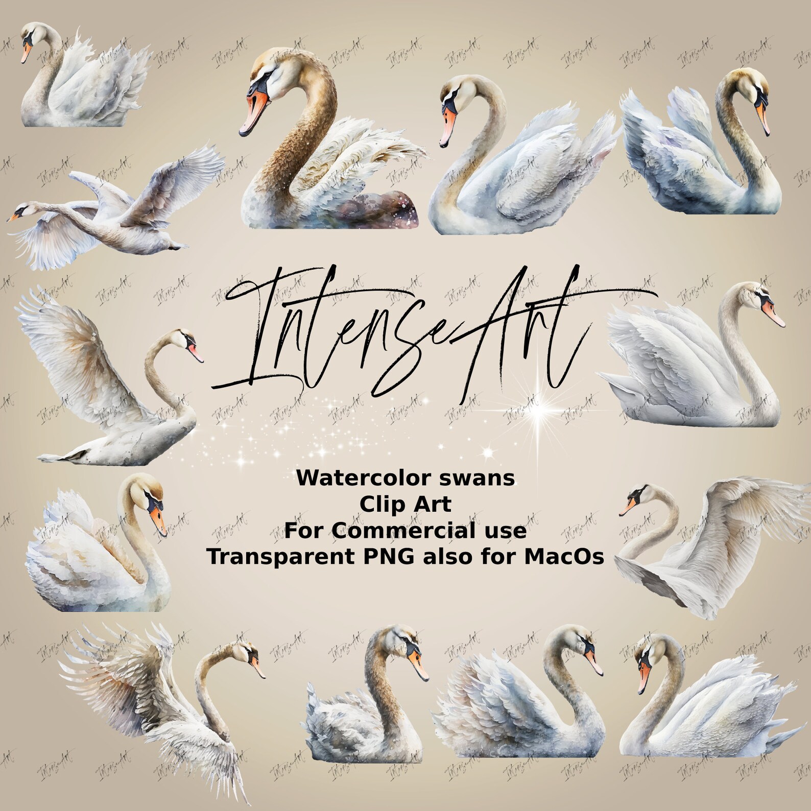 Watercolor Swans, Clipart Swans, Modern Swans Clipart, Cute Swans ...