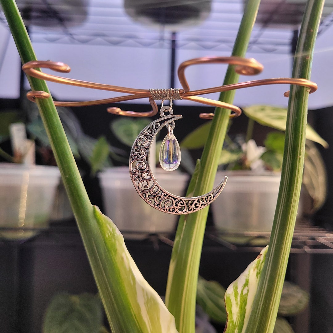 XL Underwire Crescent Moon, Teardrop Suncatcher Stems, Plant Gifts ...