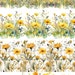 Watercolor Floral Borders Yellow Floral Borders Wild - Etsy