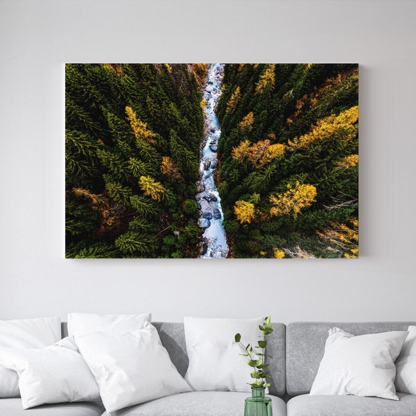 Aerial Forest - Etsy