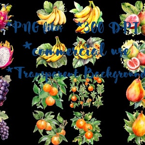 Fruit Clipart Setfruits Pngclipart Set of - Etsy