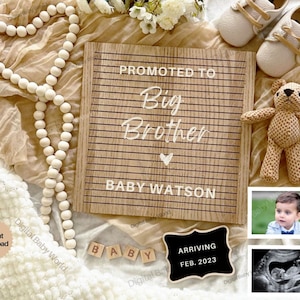 Big Brother Pregnancy Announcement Digital, Promoted to Big Brother ...