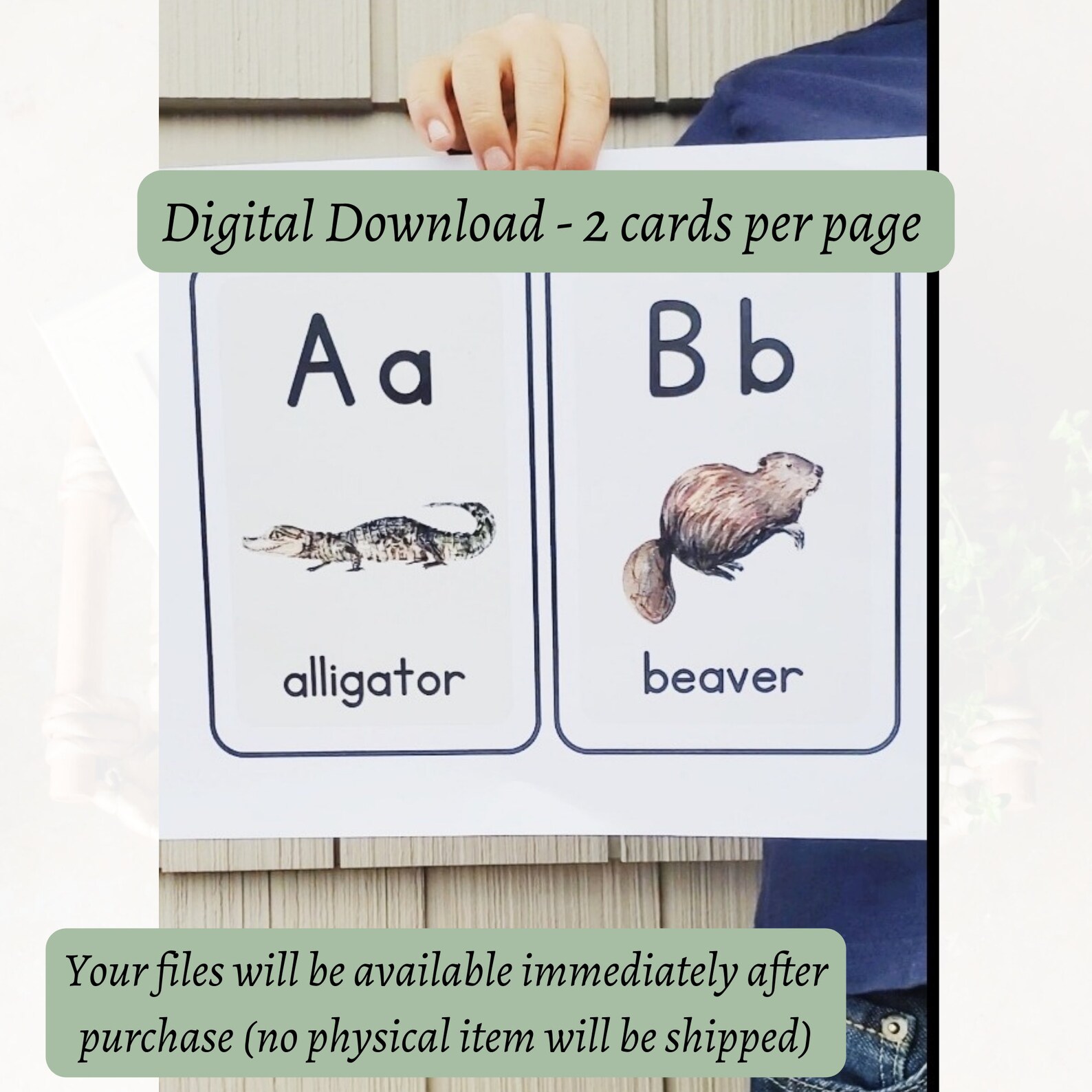 Nature ABC, Alphabet Wall Poster, Montessori ABC Cards, Homeschool ...