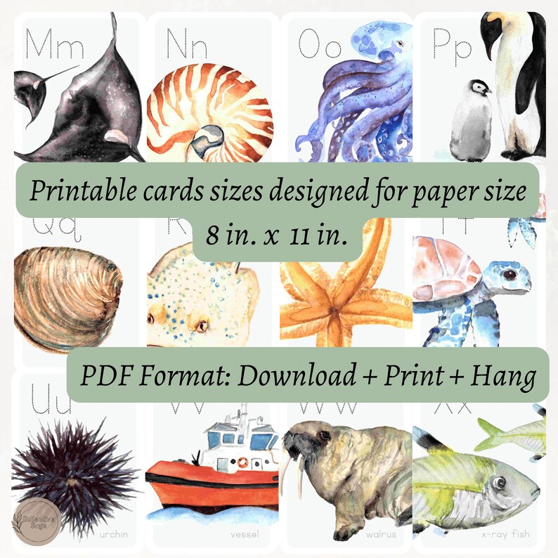 Ocean Alphabet Wall Poster, Nature ABC, Ocean Schoolroom Theme ...