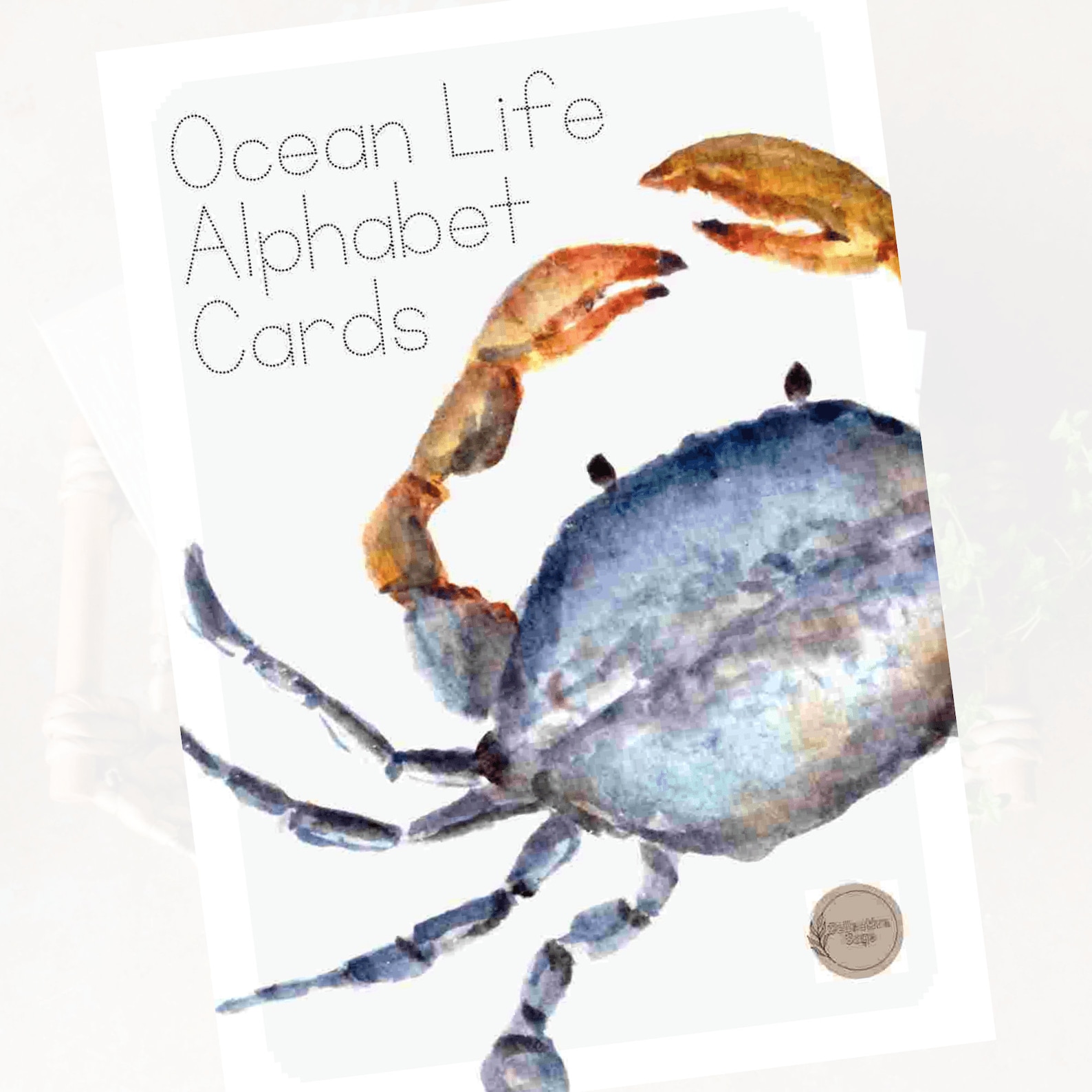 Ocean Alphabet Wall Poster, Nature ABC, Ocean Schoolroom Theme ...