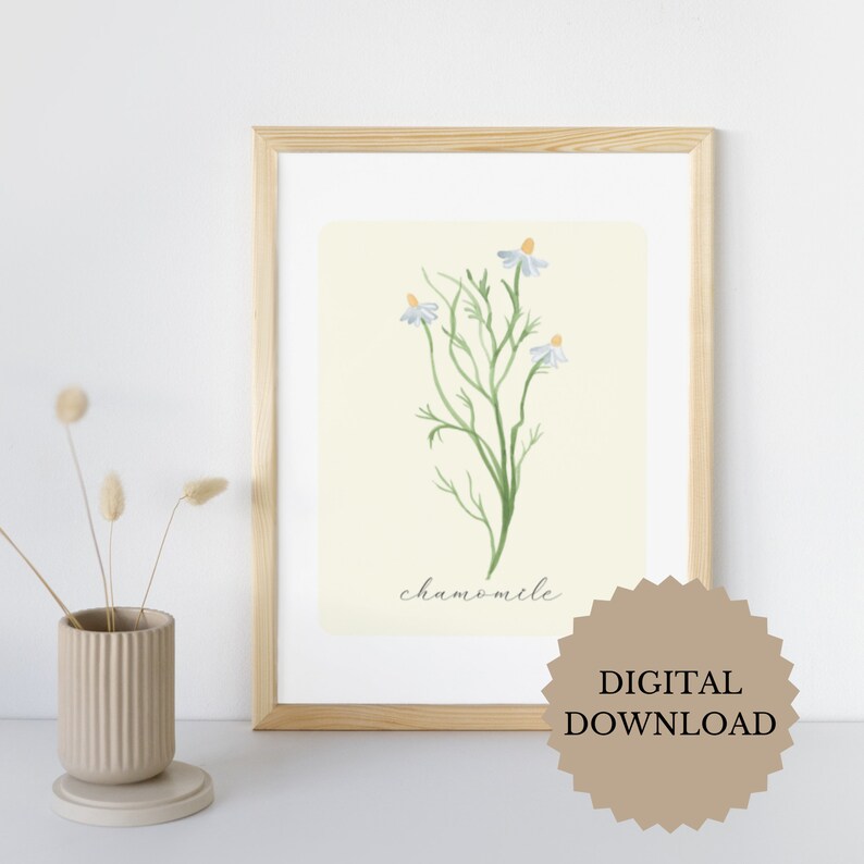 Chamomile Herb Watercolor Print: Boho Farmhouse Kitchen Decor (digital ...
