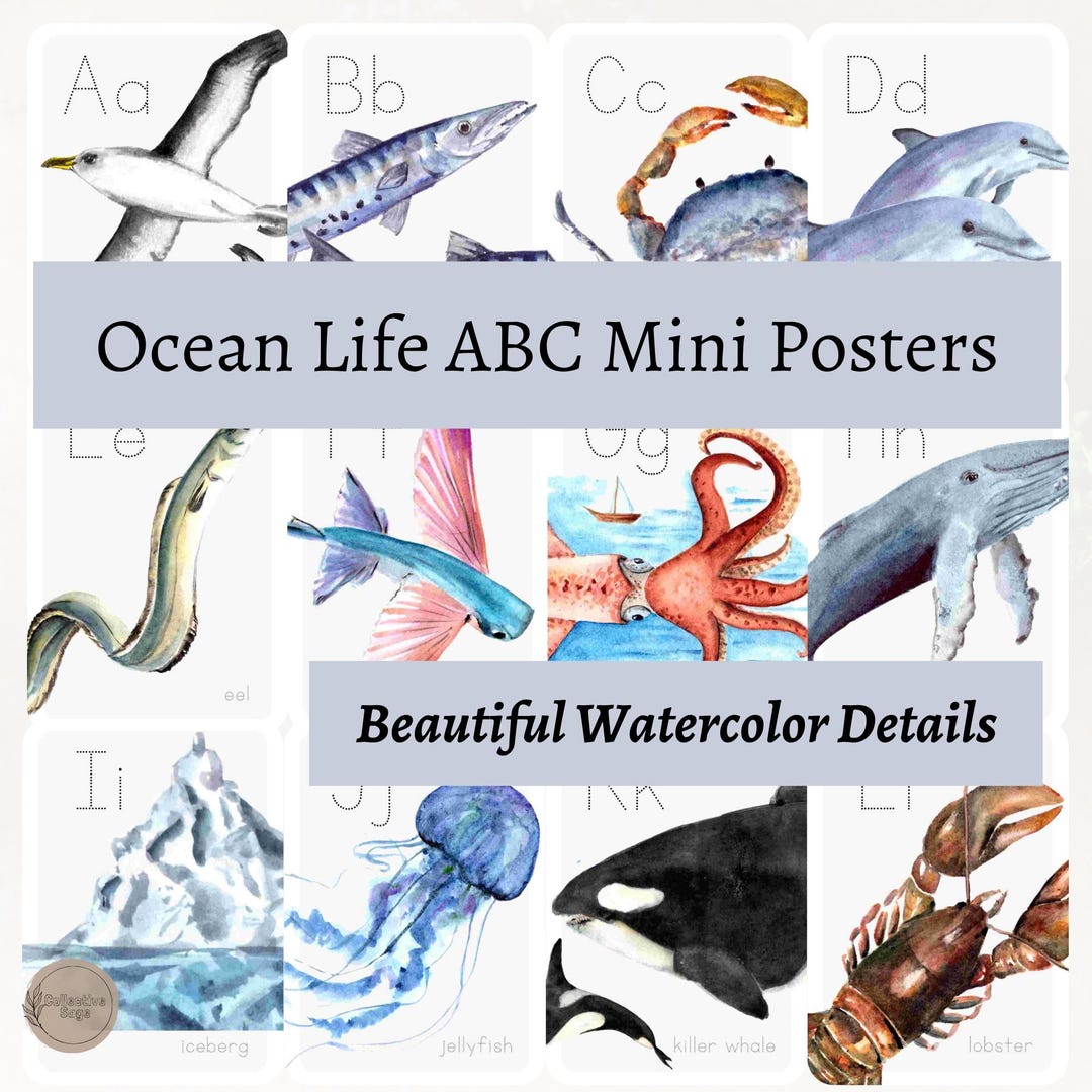 Ocean Alphabet Mini Wall Poster, Sea Life Abcs, Ocean Schoolroom Theme ...