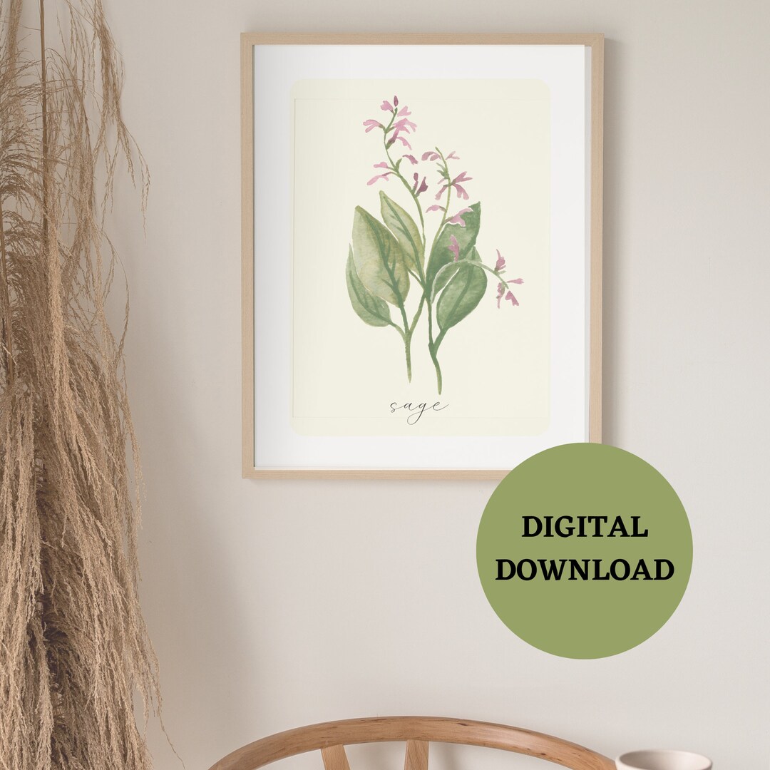 Sage Green Plant | Herb Watercolor | Easy Wall Art | Sage Plant ...
