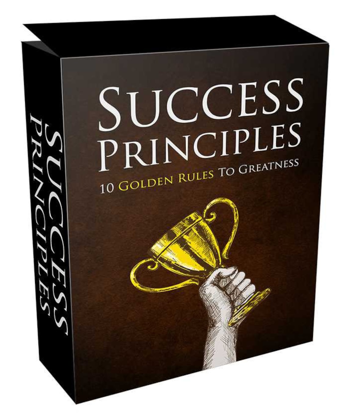 Success Ebook Success Principles Mindset Ebook Sucess Guide Ebook ...