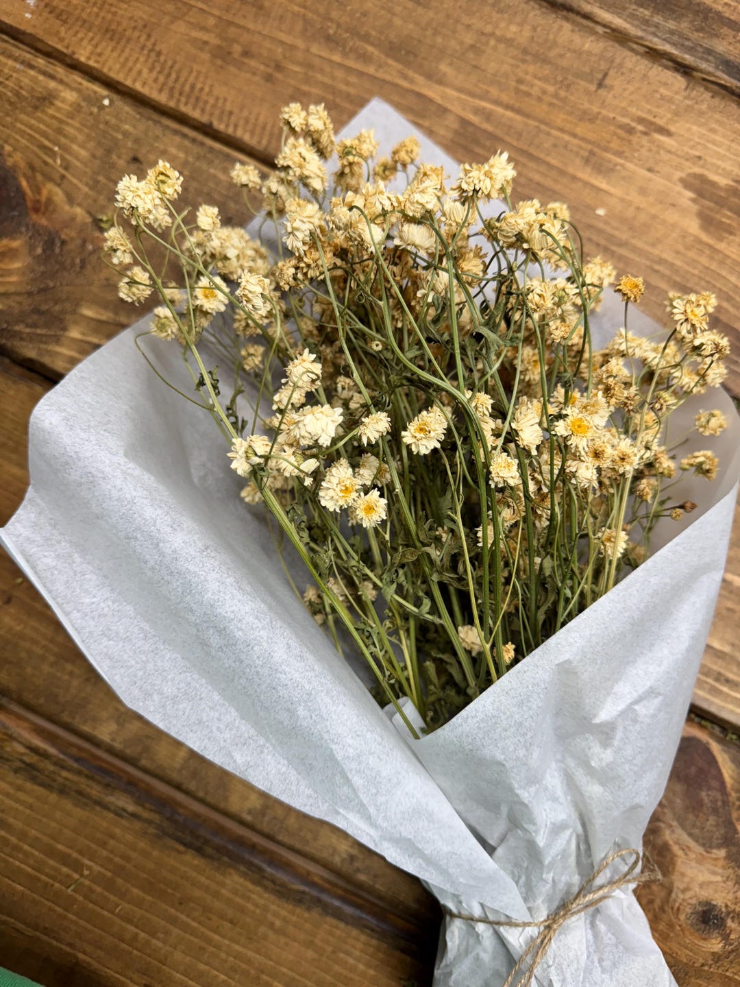 Dried Feverfew Stems: Preserved Flower Bunch for Craft, Wedding, Home ...
