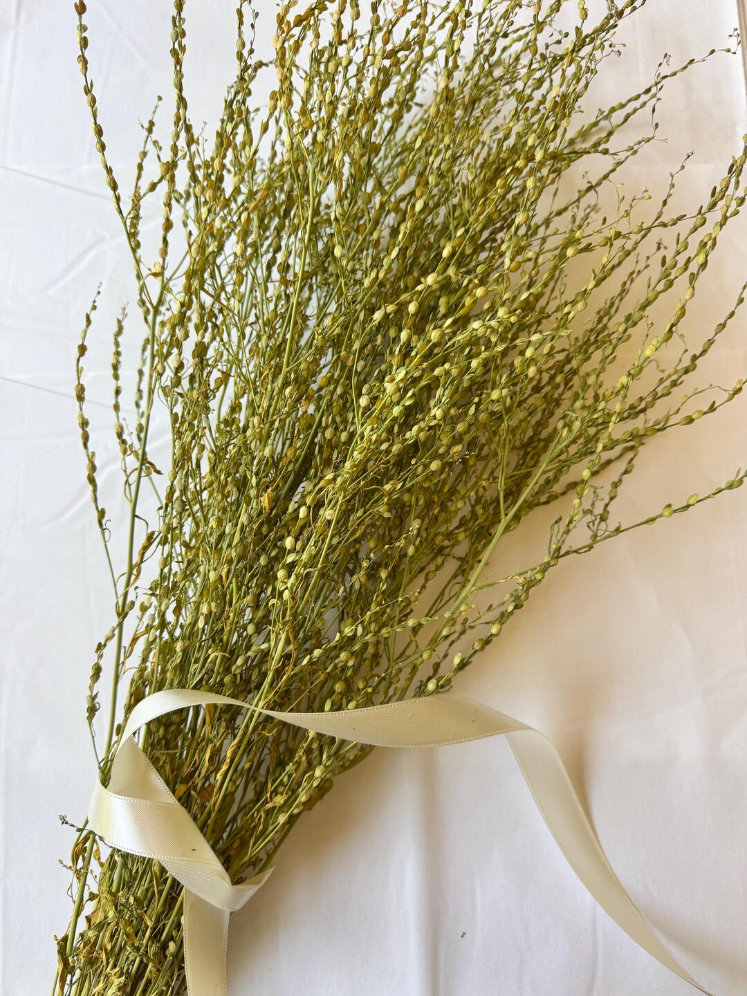 Dried Persian Cress Stems: Floral Craft Supply for Bouquet Making ...