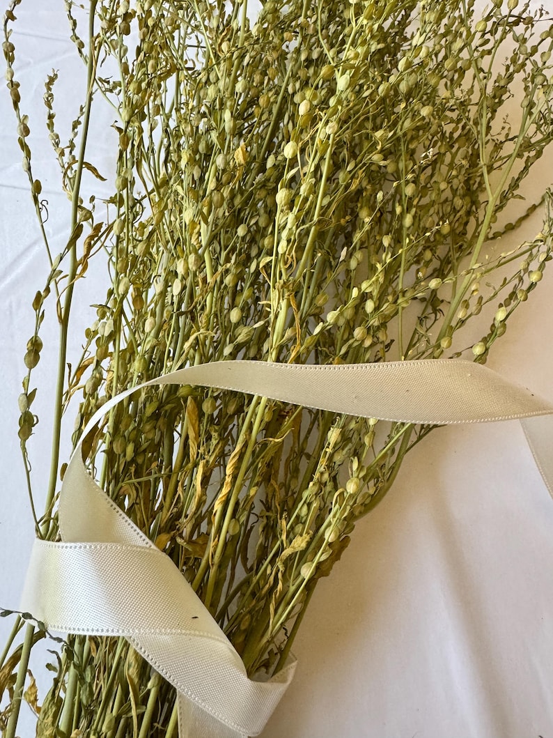 Dried Persian Cress Stems: Floral Craft Supply for Bouquet Making ...