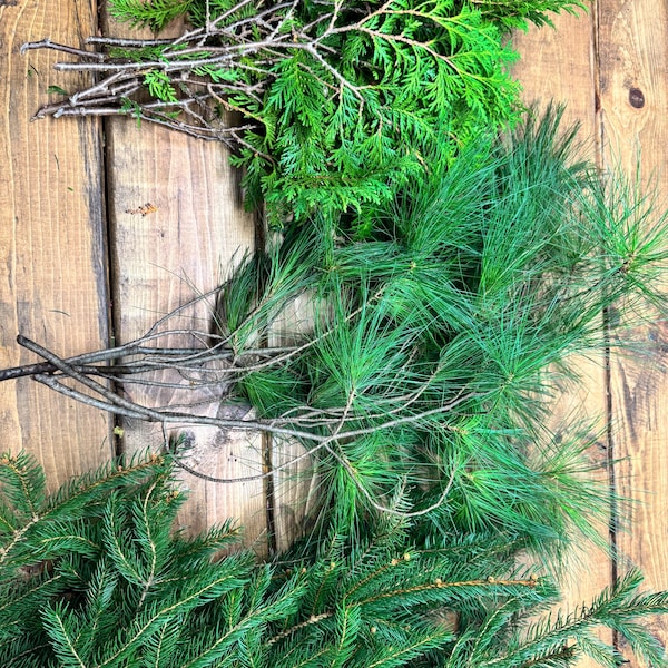 Fresh Cut Pine Branches - Etsy