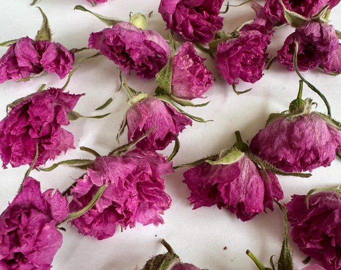 Dried Pink Miniature Rose Buds: Real Flowers for Resin Art & Wedding ...