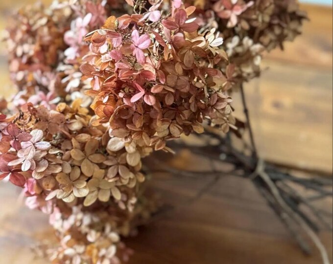 Dried Hydrangea Stems - Limelight Paniculata Small Size Blooms - Last ...