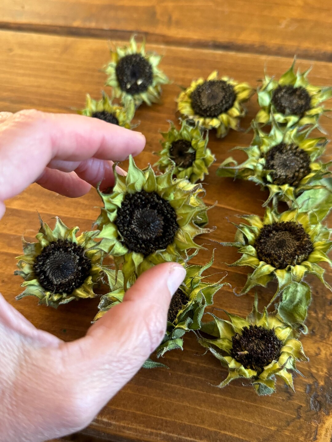 Dried Preserved Sunflower Heads, Dried Flowers, Dried Flower Heads ...