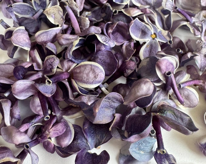 Dried Lilac Buds: Natural Purple Flowers, Soap & Candle Supplies - Etsy