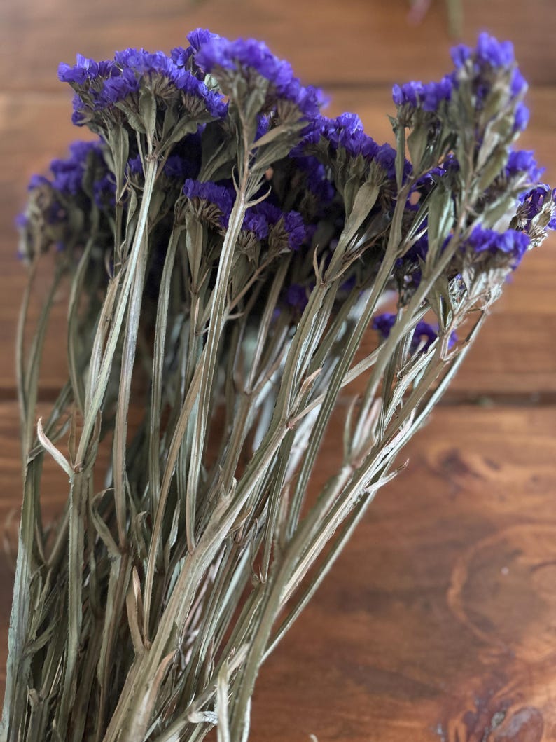 Dried Purple Statice Stems, Dried Flowers, Dried Flower Craft Kit, DIY ...