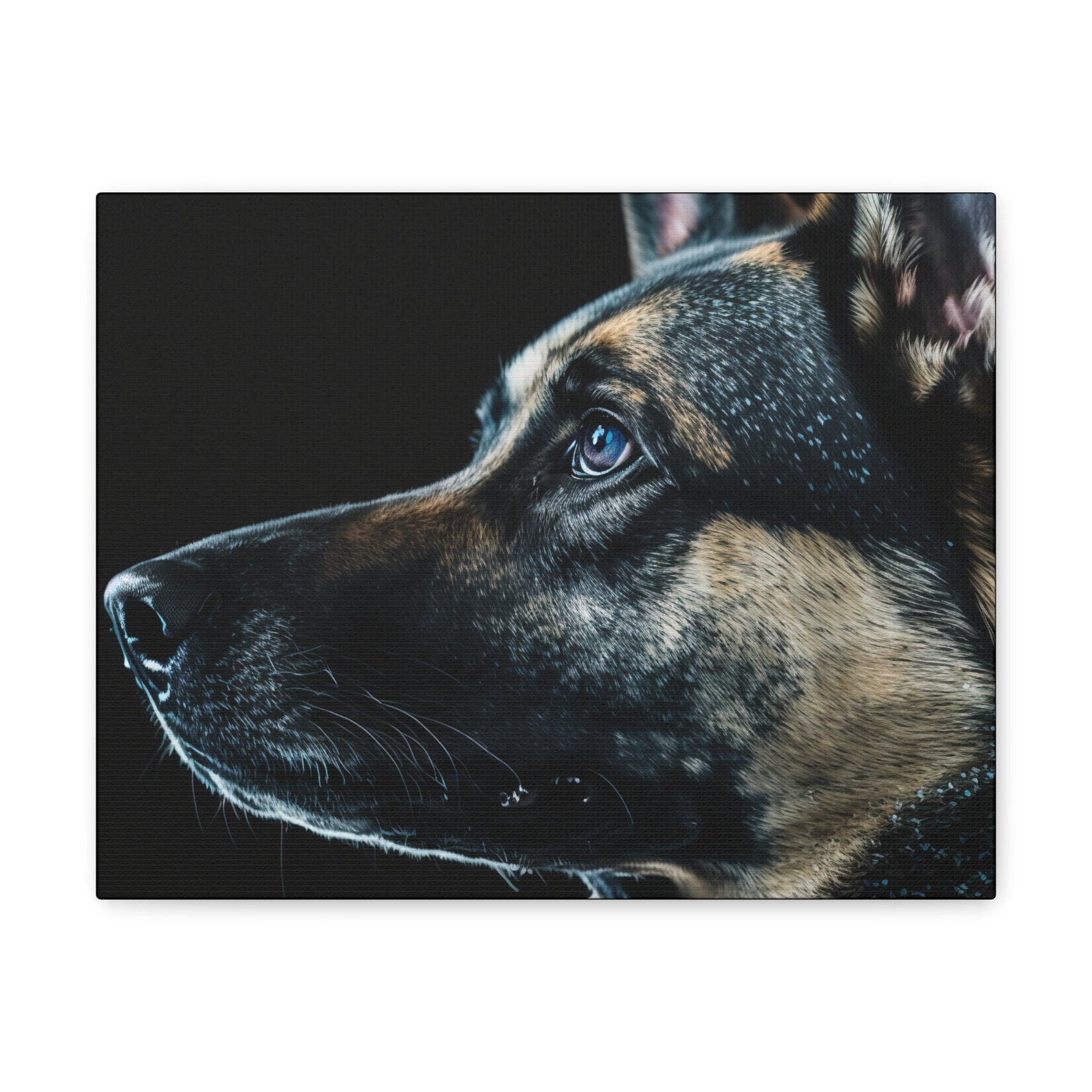 Celestial Guardian: German Shepherd Portrait Canvas Art Print - Etsy