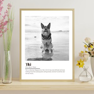 Custom Pet Poster, Personalized Dictionary Description, Pet Portrait ...