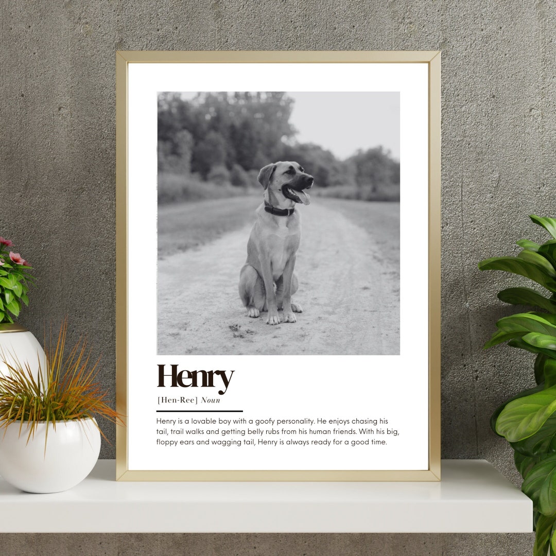 Custom Pet Definition Posters Pet Art Pet Bio Print Pet Dictionary ...