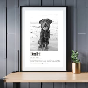 Custom Pet Poster, Personalized Dictionary Description, Pet Portrait ...