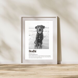 Custom Pet Poster, Personalized Dictionary Description, Pet Portrait ...