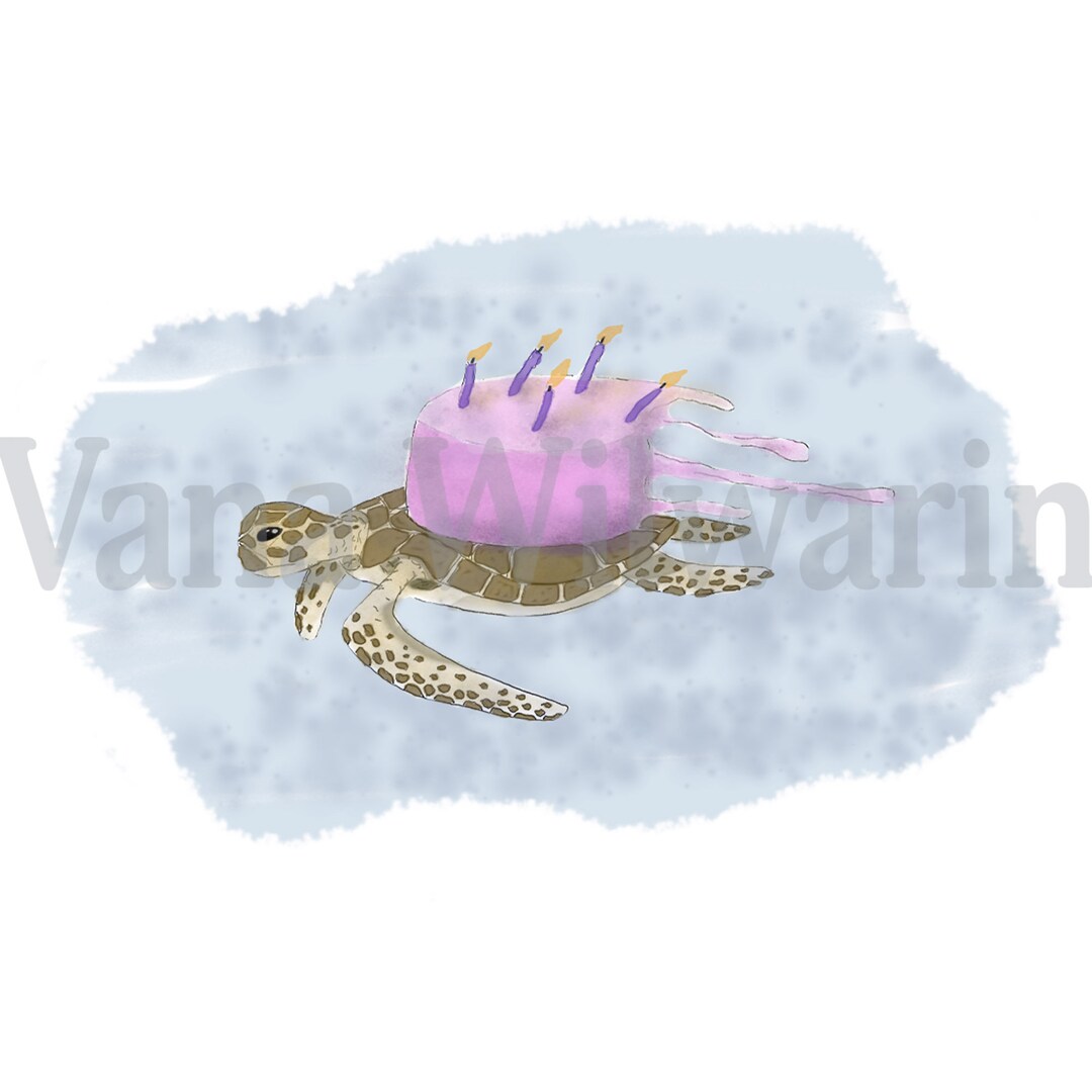 Turtle With Pink Cake, Birthday Card for Dad, Mom, Birthday Card for ...