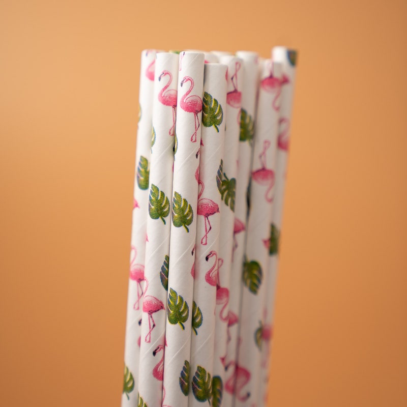 Flamingo Straws - Etsy
