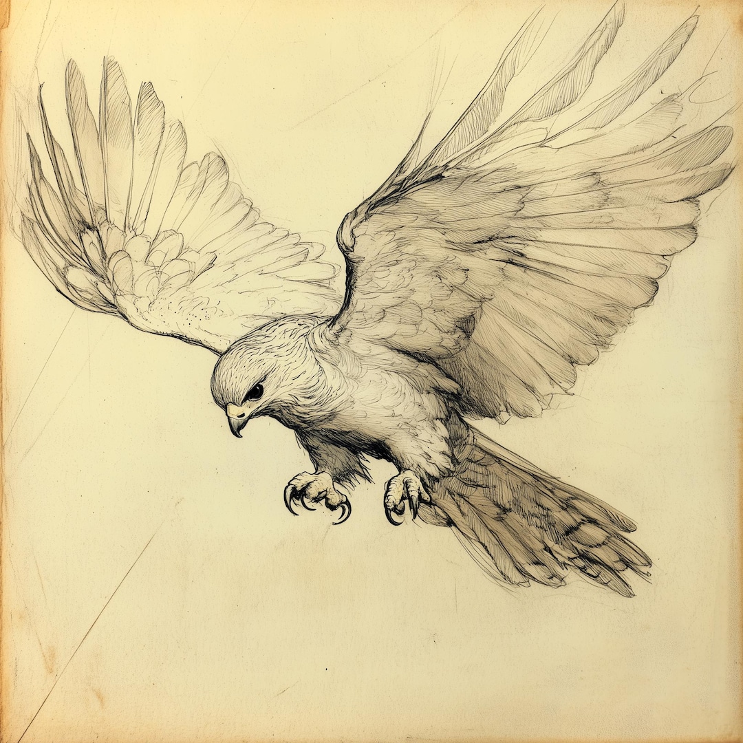 Vintage Hawk Sketch | Rustic Modern Art Print | Neutral Home Decor ...