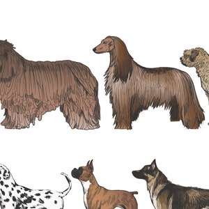 Dog Breeds Collection, a Wonderful Picture of 50 Breeds, Just to Print ...