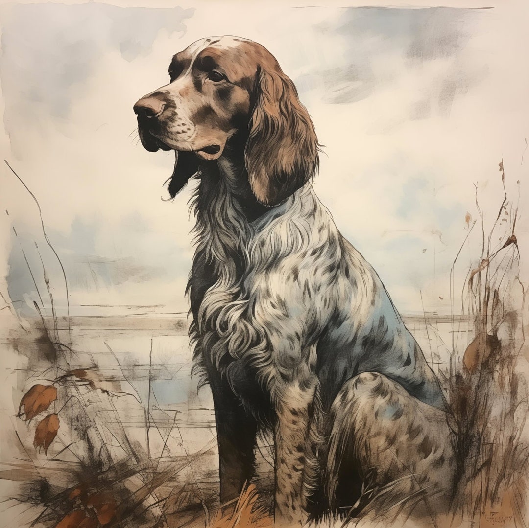 Rustic Charm: Vintage Inspired English Setter Sketch - Printable ...